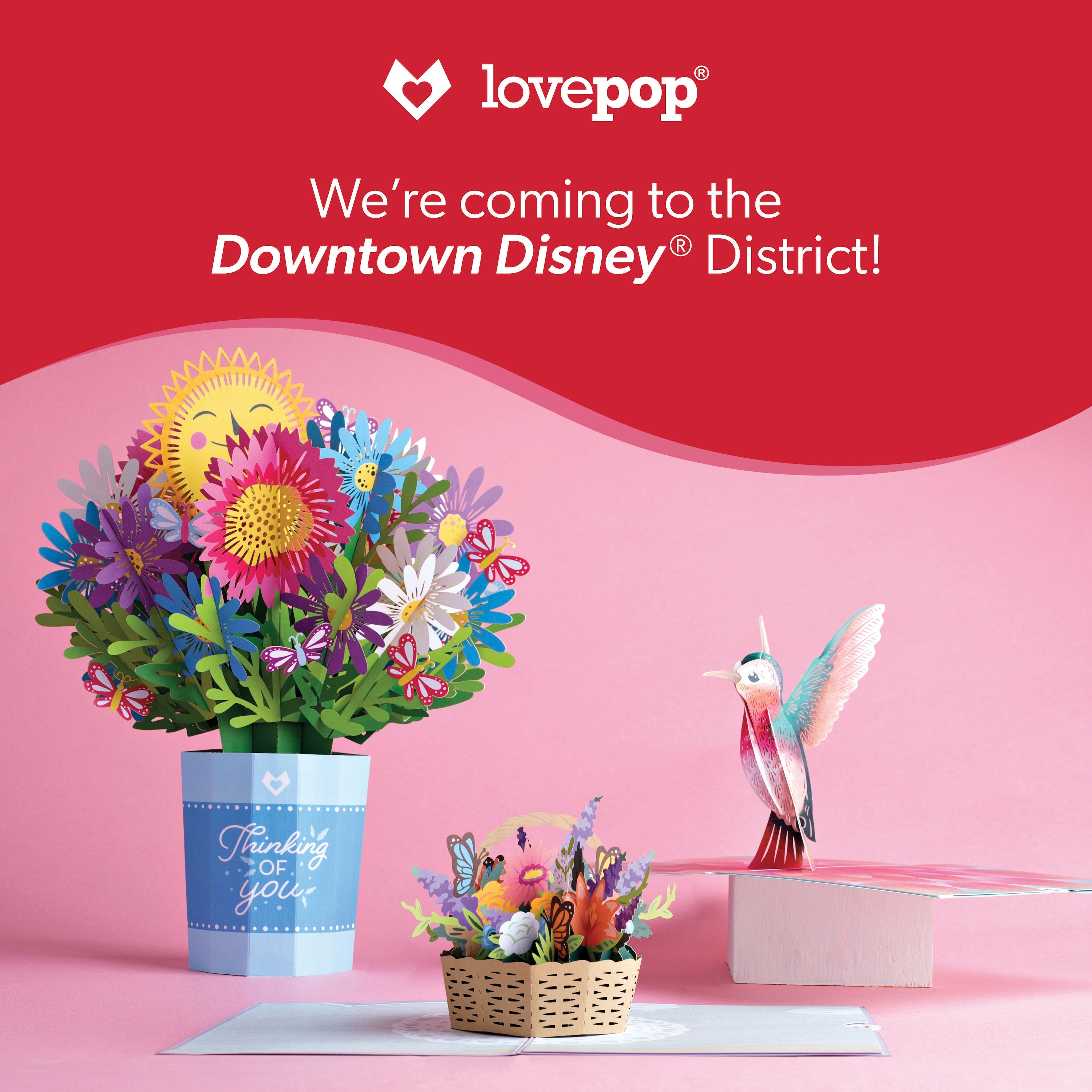 We're coming to the Downtown Disney District! – Lovepop