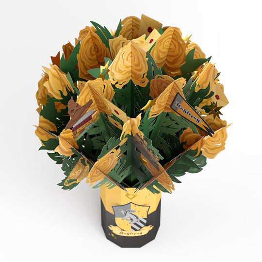Harry Potter™ Hufflepuff™ Birthday Bundle – Lovepop