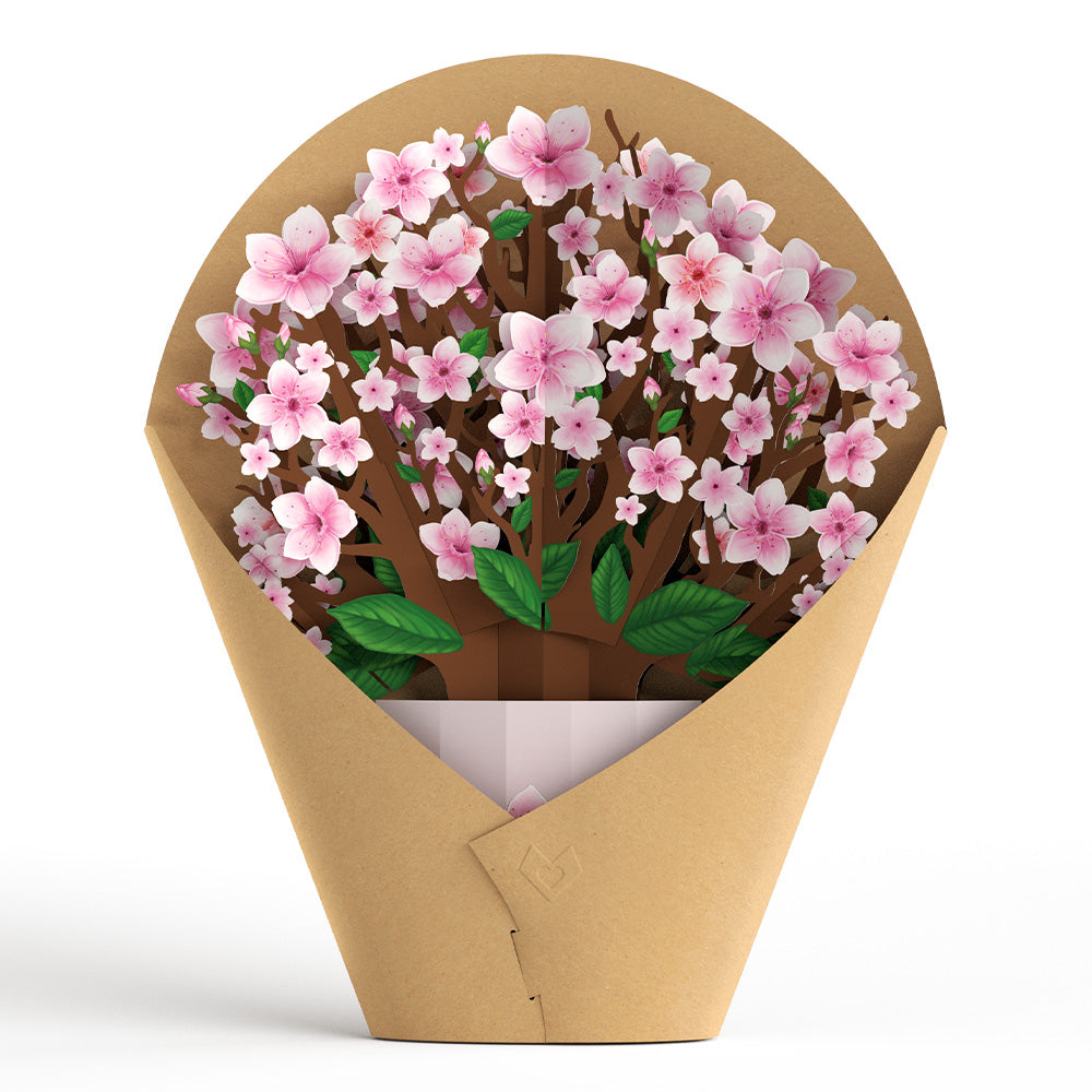 Cherry Blossom Bouquet – Lovepop