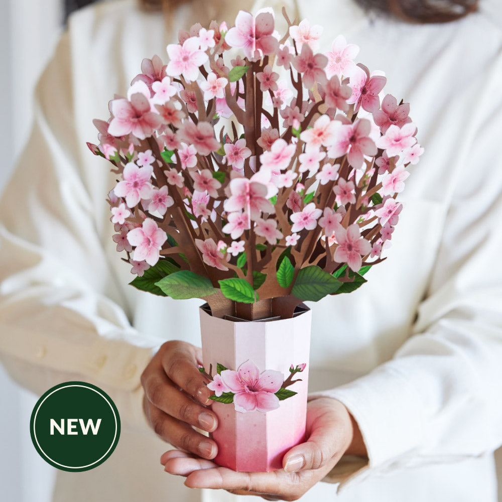 Cherry Blossom Bouquet – Lovepop