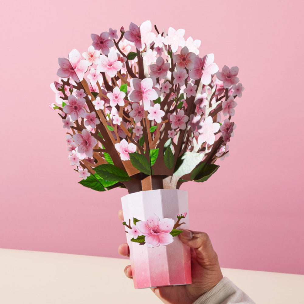Cherry Blossom Bouquet – Lovepop