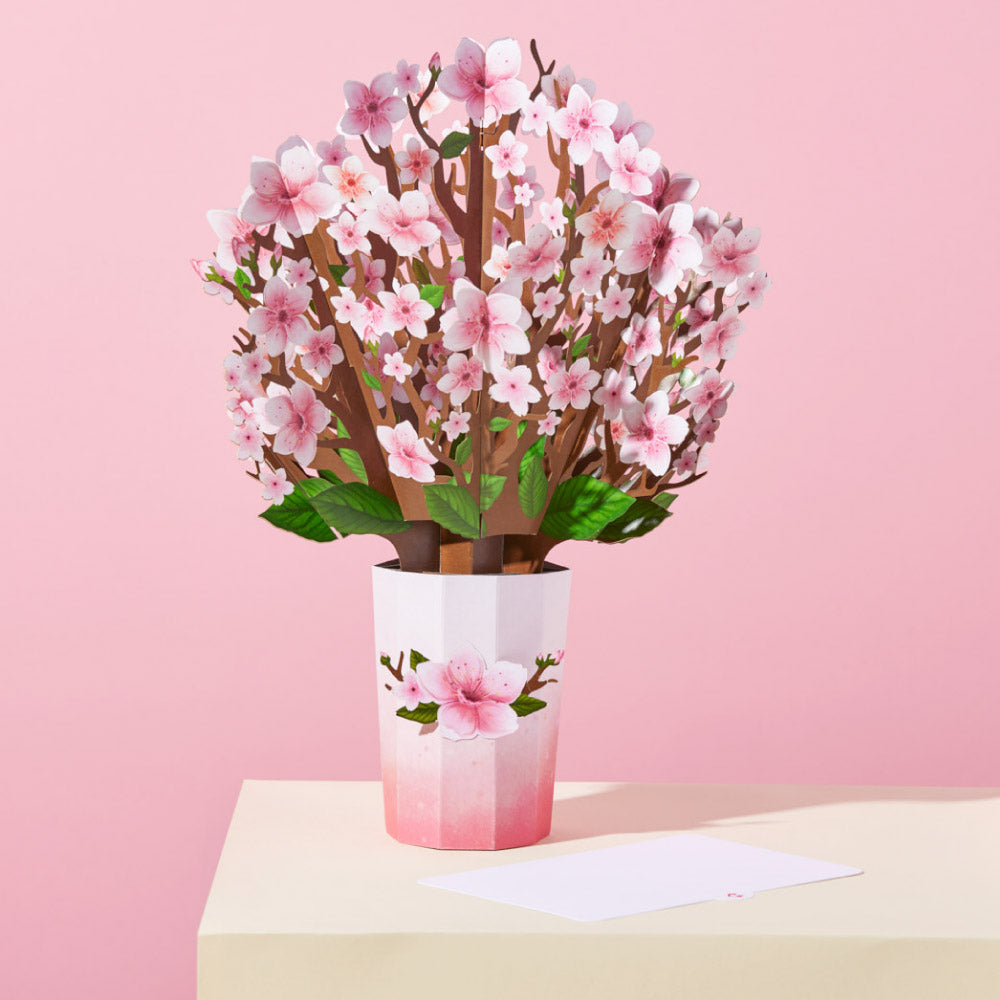 Cherry Blossom Bouquet – Lovepop