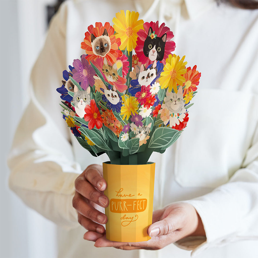 Collections – Lovepop