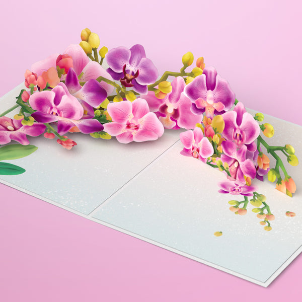 Lovepop | Magical Pop Up Greeting Cards
