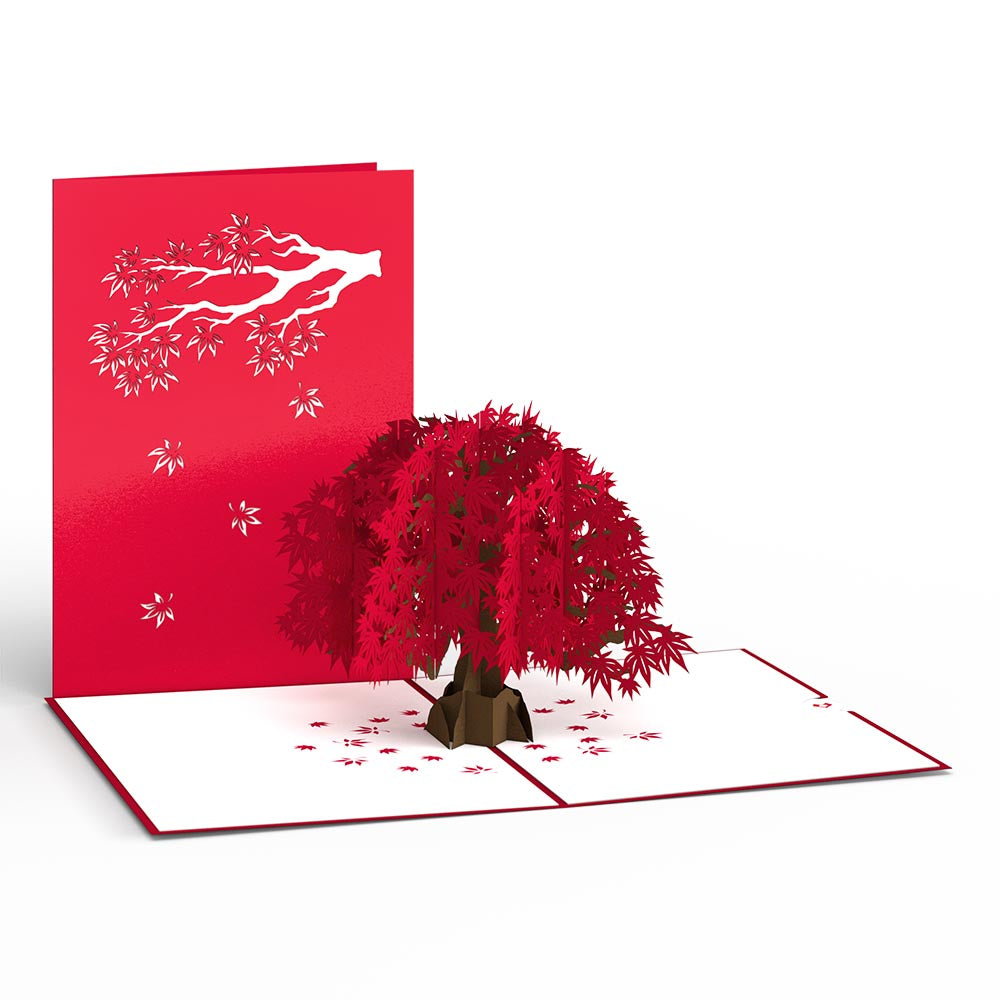 Japanese Maple Pop up Card – Lovepop