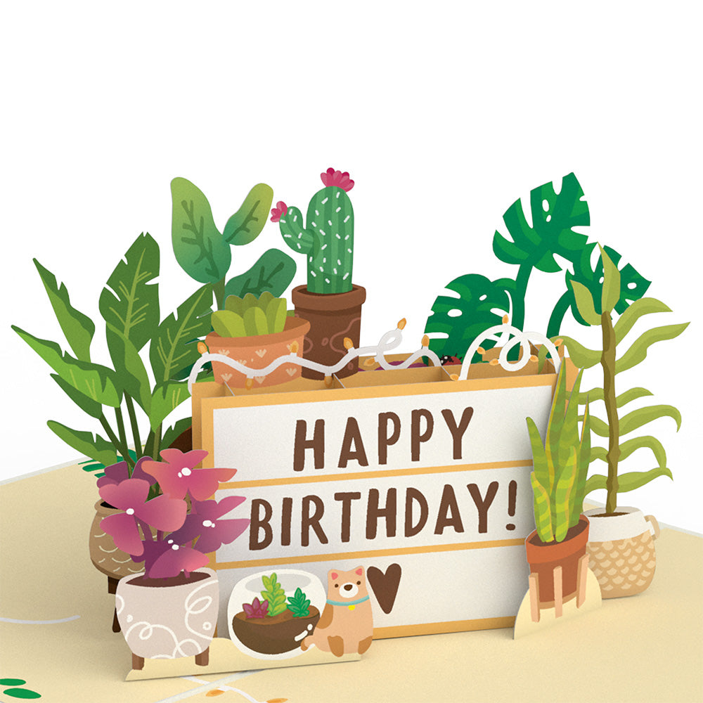 Plant Birthday Card | Plant Lover Birthday Card | Lovepop