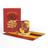 Harry Potter™ Gryffindor™ Birthday Bundle – Lovepop