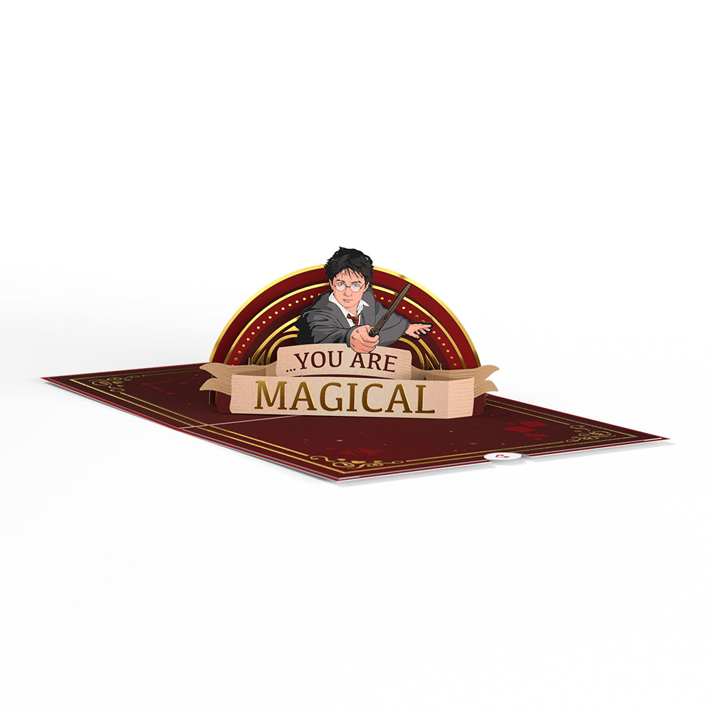 Harry Potter™ My Chosen One Pop-Up Card – Lovepop