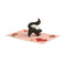 Stinking Love You Skunk Valentine Pop-Up Card – Lovepop