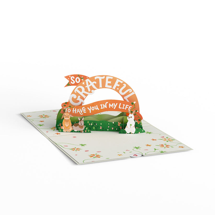 How Lucky I Am Pop-Up Card – Lovepop