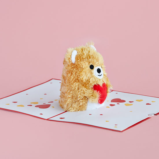 You're the Beary Best Pop-Up Plush Bear Card | Lovepop