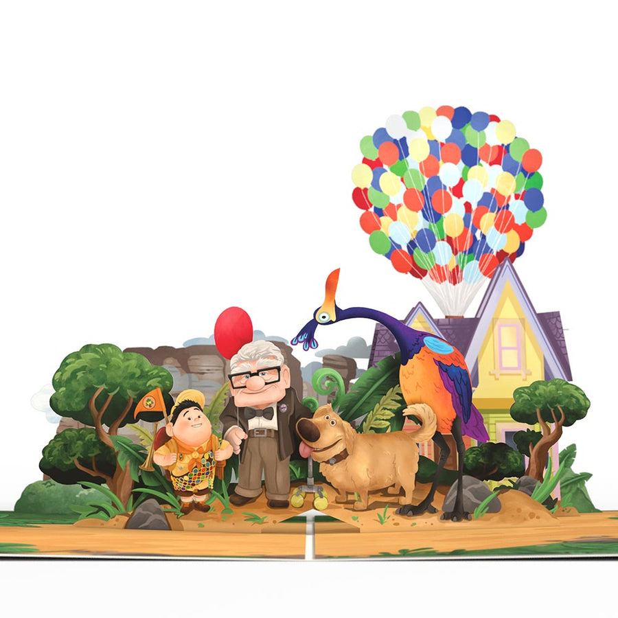 Disney and Pixar Up Birthday Adventures Pop-Up Card & Bouquet Bundle ...