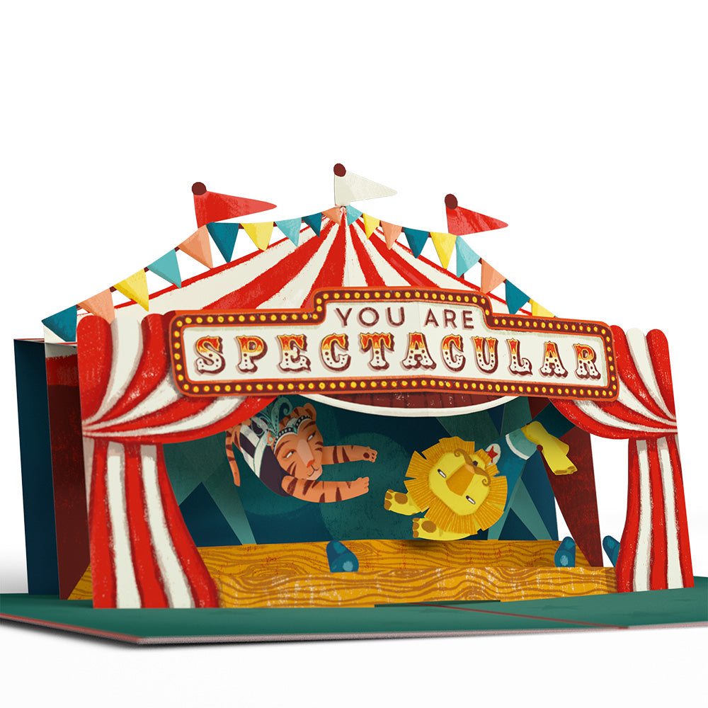 Congrats, You Are Spectacular Pop-Up Card – Lovepop