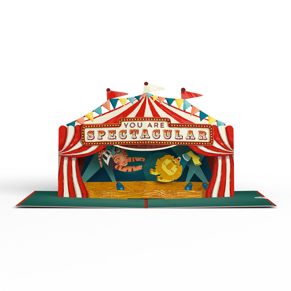 Congrats, You Are Spectacular Pop-Up Card – Lovepop
