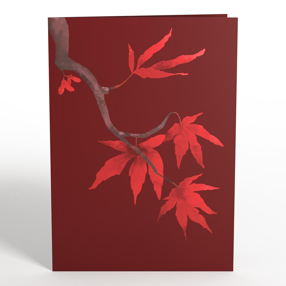 Majestic Japanese Maple Pop-Up Card – Lovepop