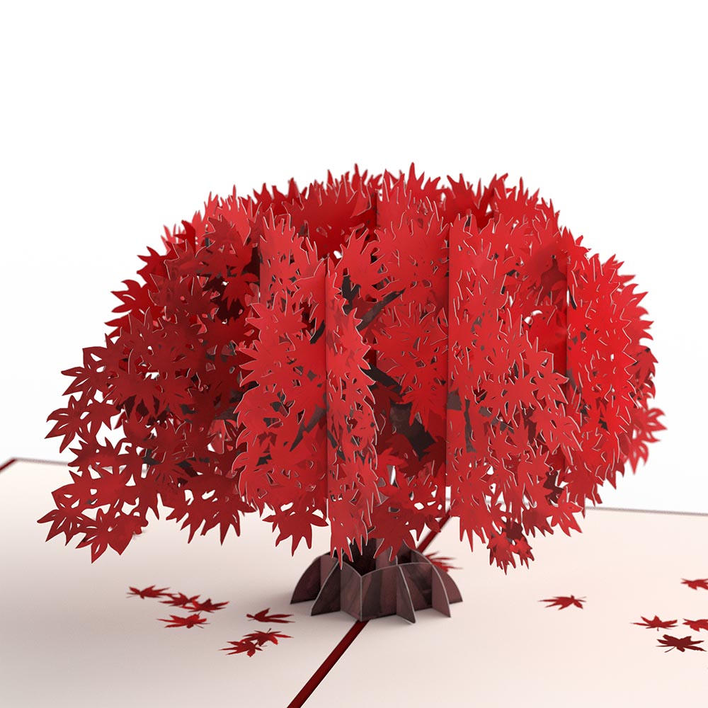 Majestic Japanese Maple Pop-Up Card – Lovepop
