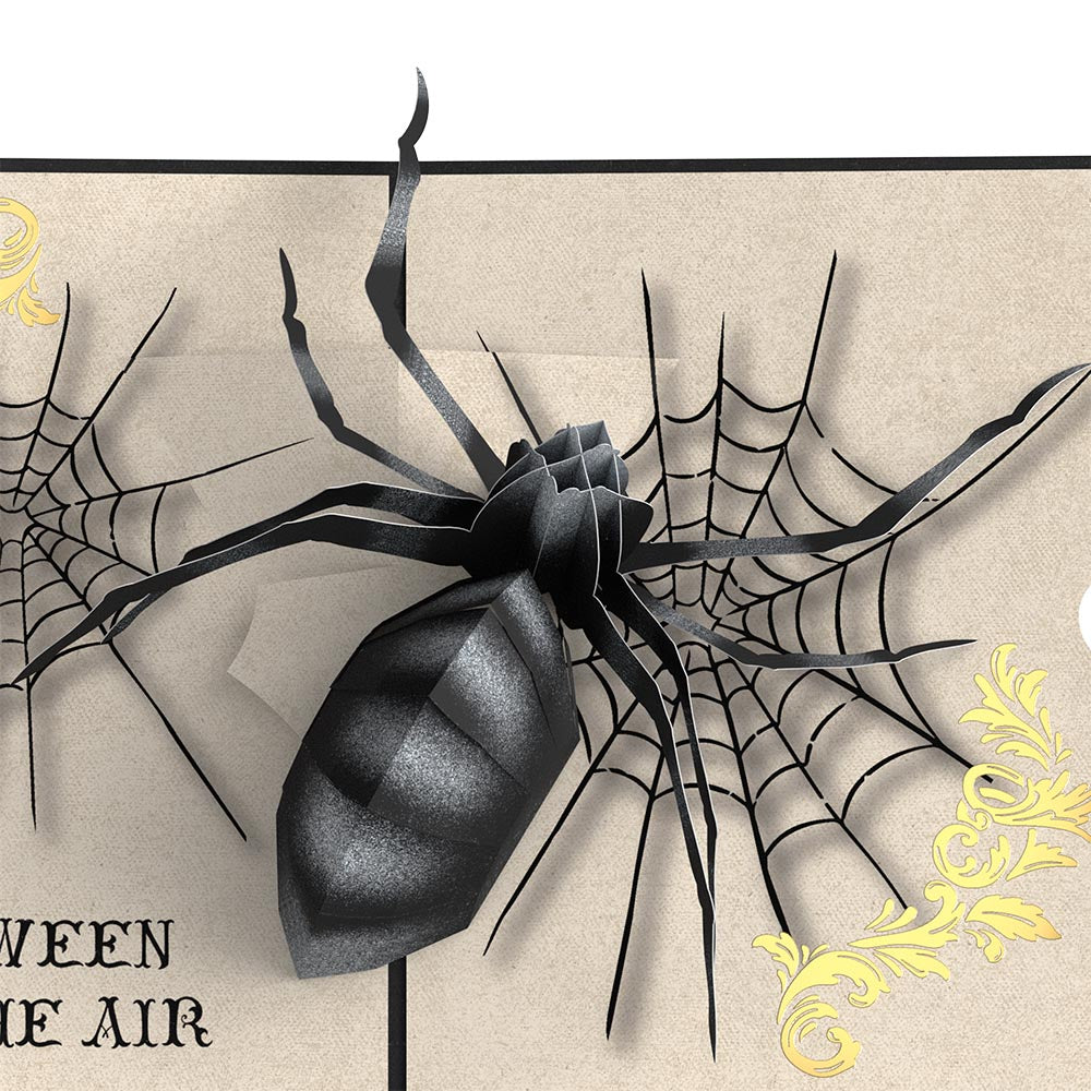 Beware Halloween Spider Pop-Up Card – Lovepop