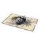 Beware Halloween Spider Pop-Up Card – Lovepop