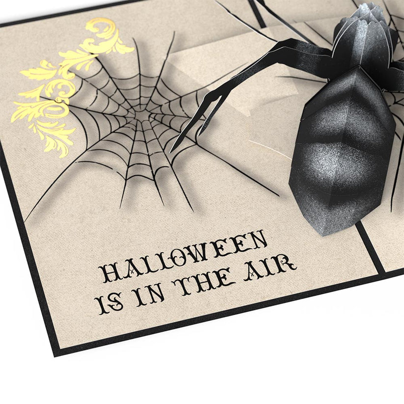 Beware Halloween Spider Pop-Up Card – Lovepop