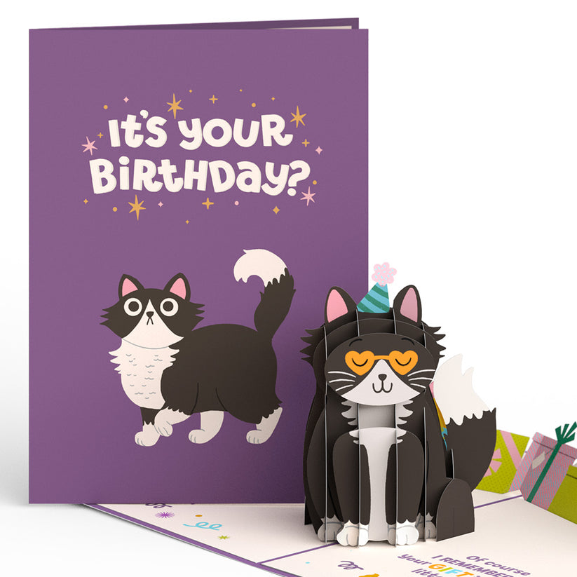 Your Gift Is in the Litterbox Birthday Cat Pop-Up Card – Lovepop