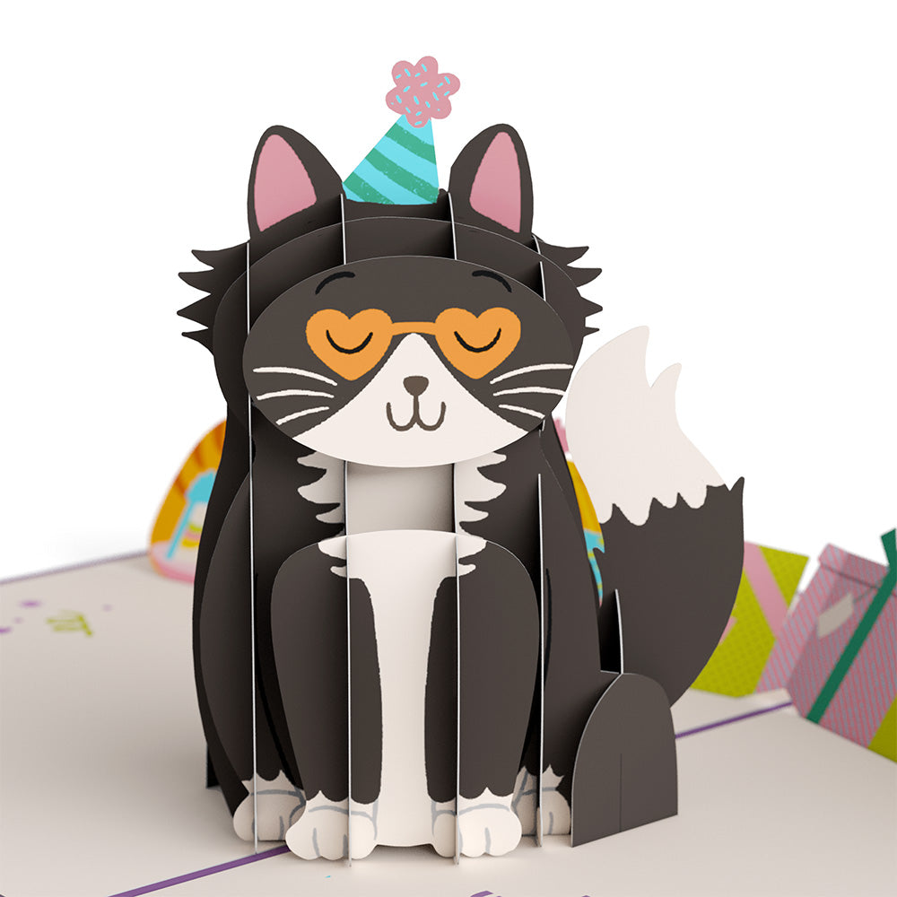 Your Gift Is in the Litterbox Birthday Cat Pop-Up Card – Lovepop