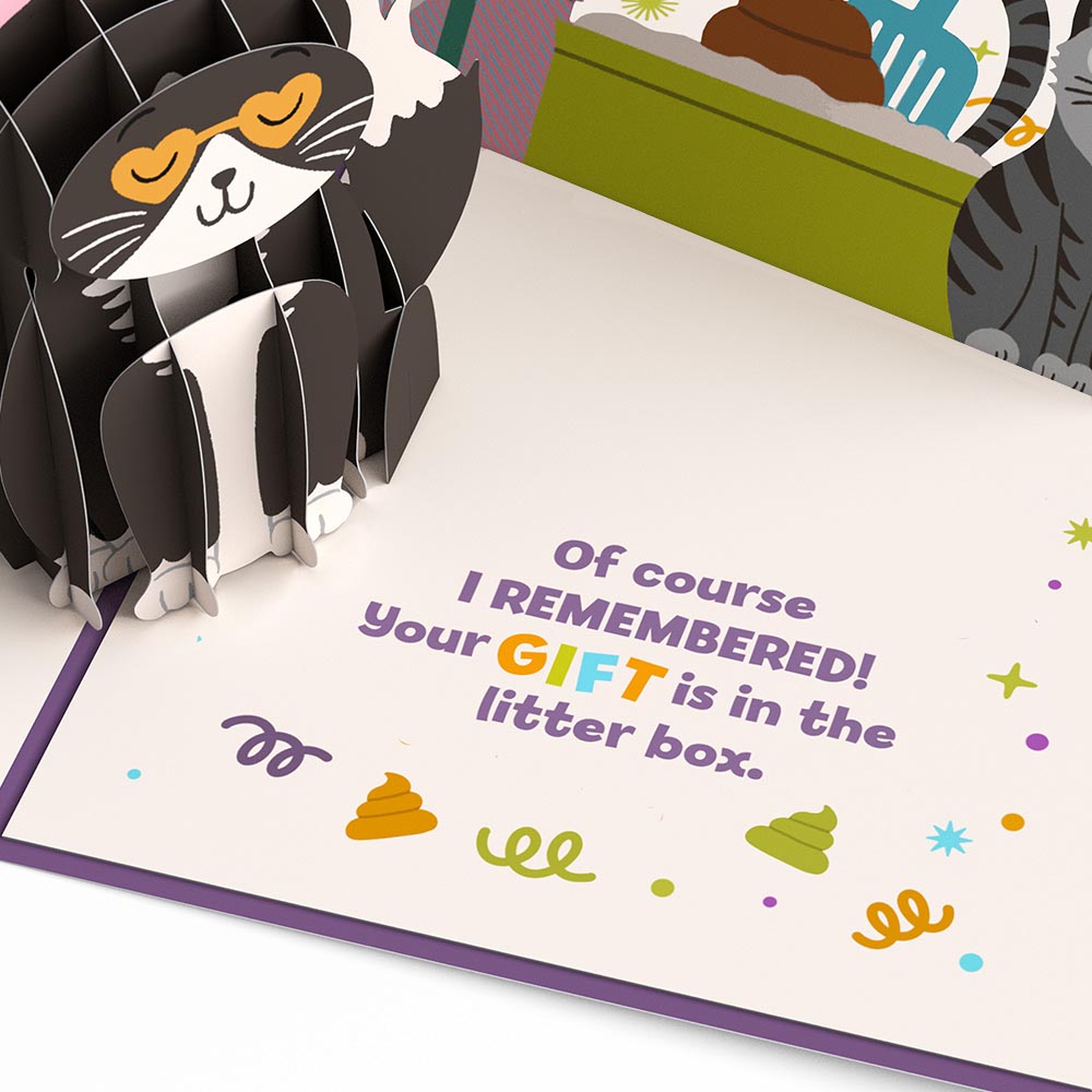 Your Gift Is in the Litterbox Birthday Cat Pop-Up Card – Lovepop