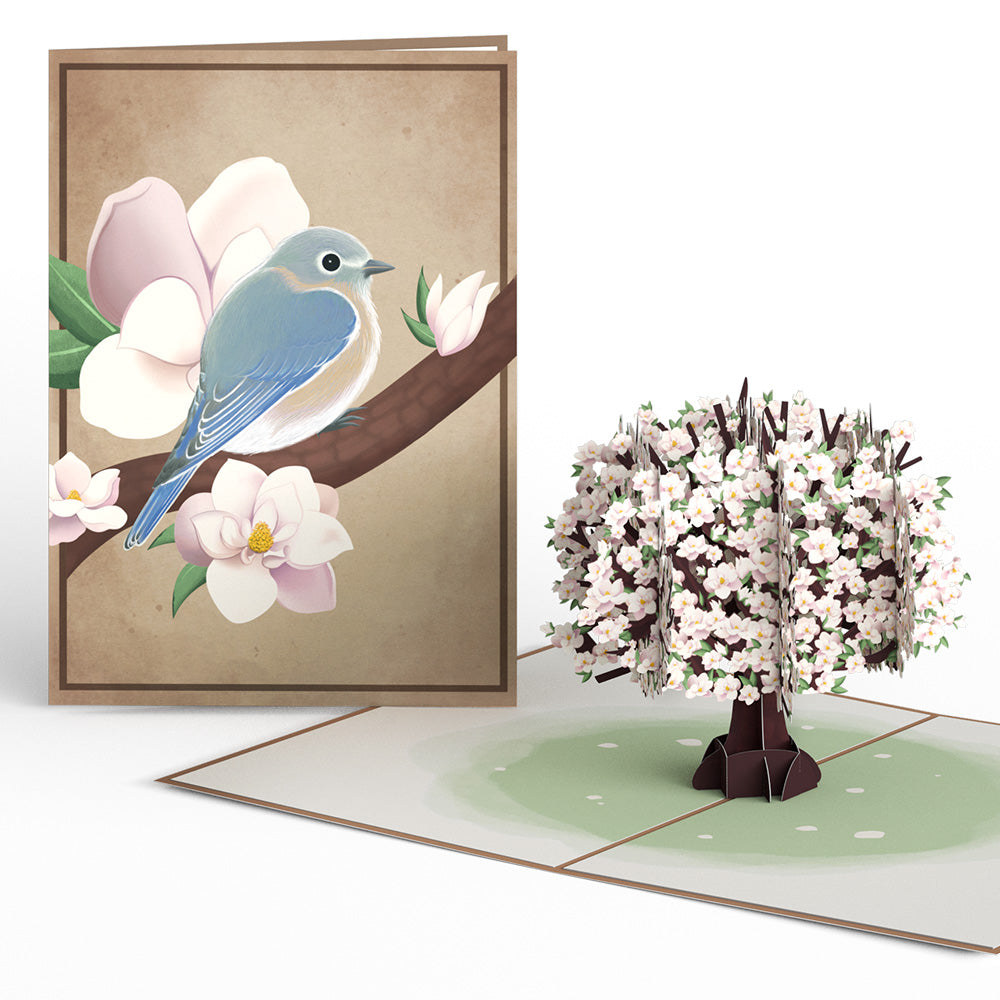 Pink Magnolia Tree Pop-Up Card – Lovepop