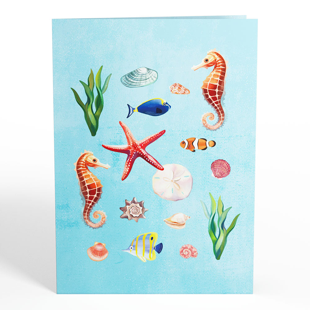 Coral Reef Wonders Pop-Up Card – Lovepop
