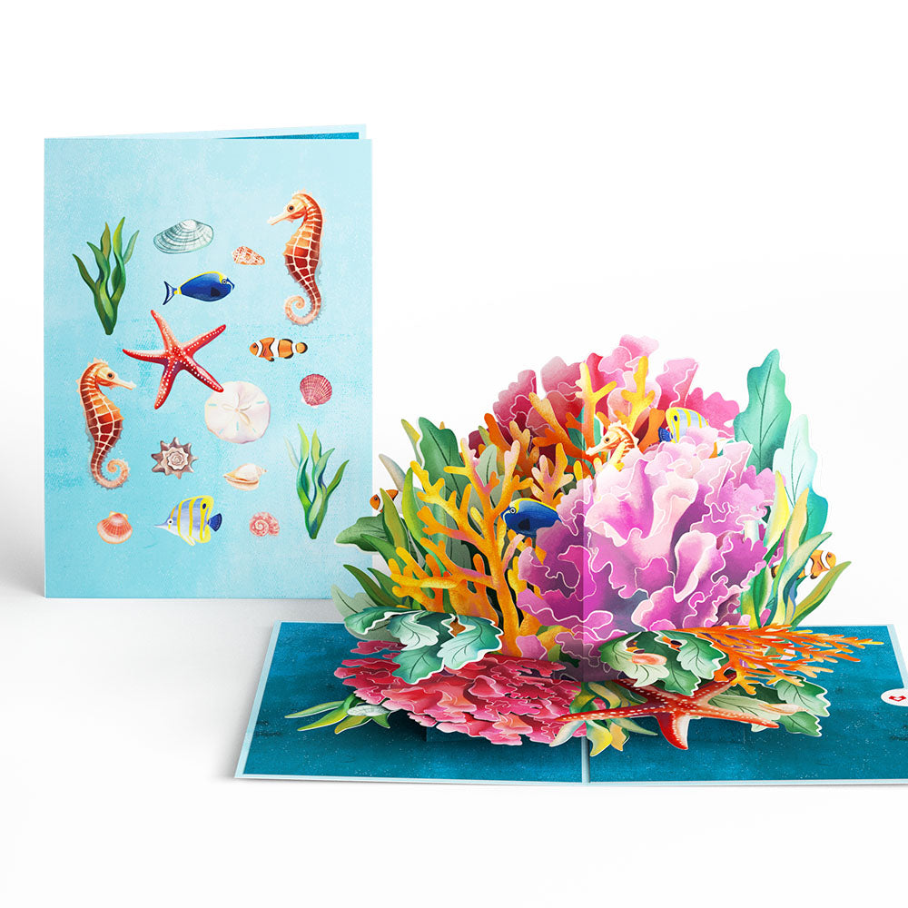 Coral Reef Wonders Pop-Up Card – Lovepop