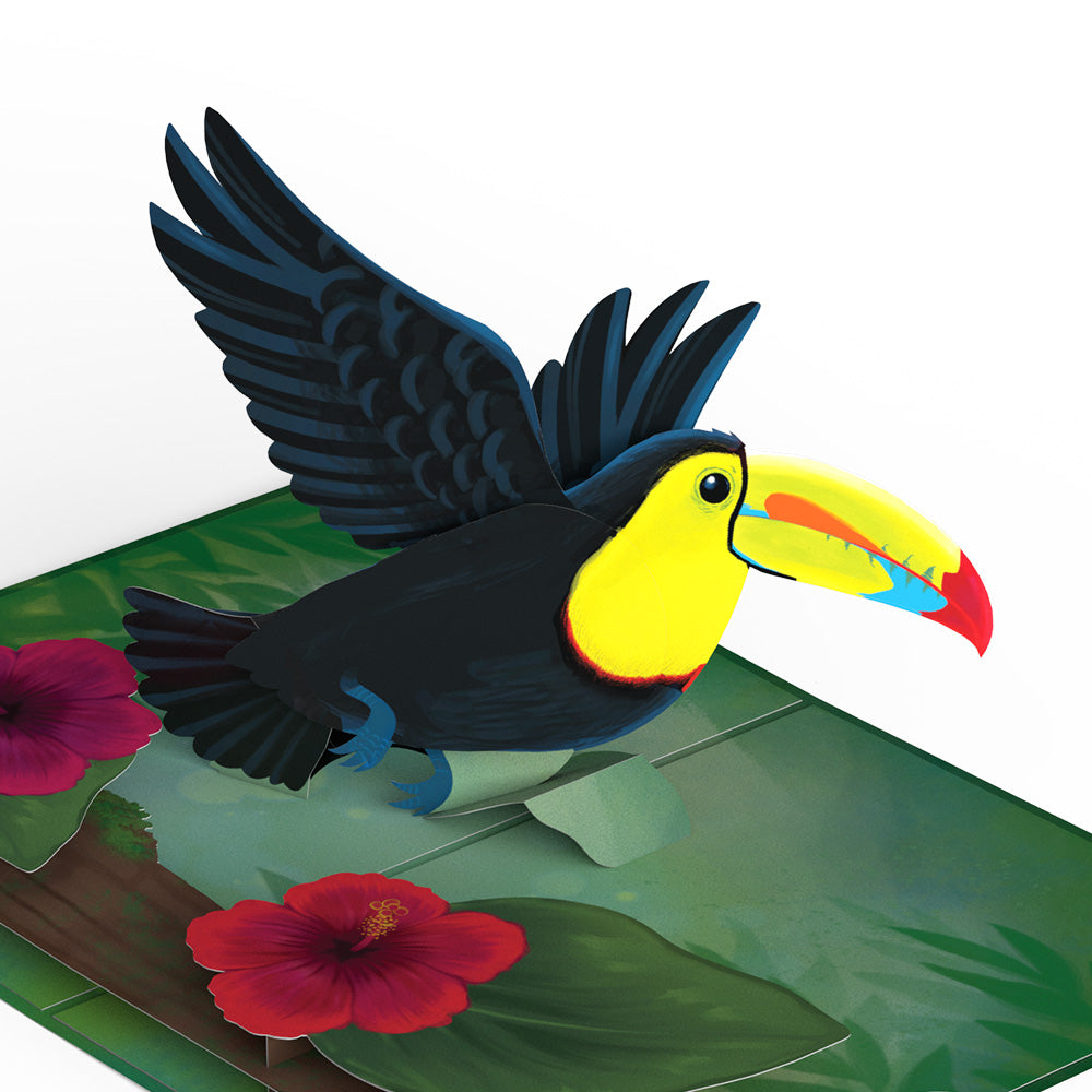 Rainforest Toucan Wedding Pop-Up Card and Hibiscus Sentiment Set – Lovepop