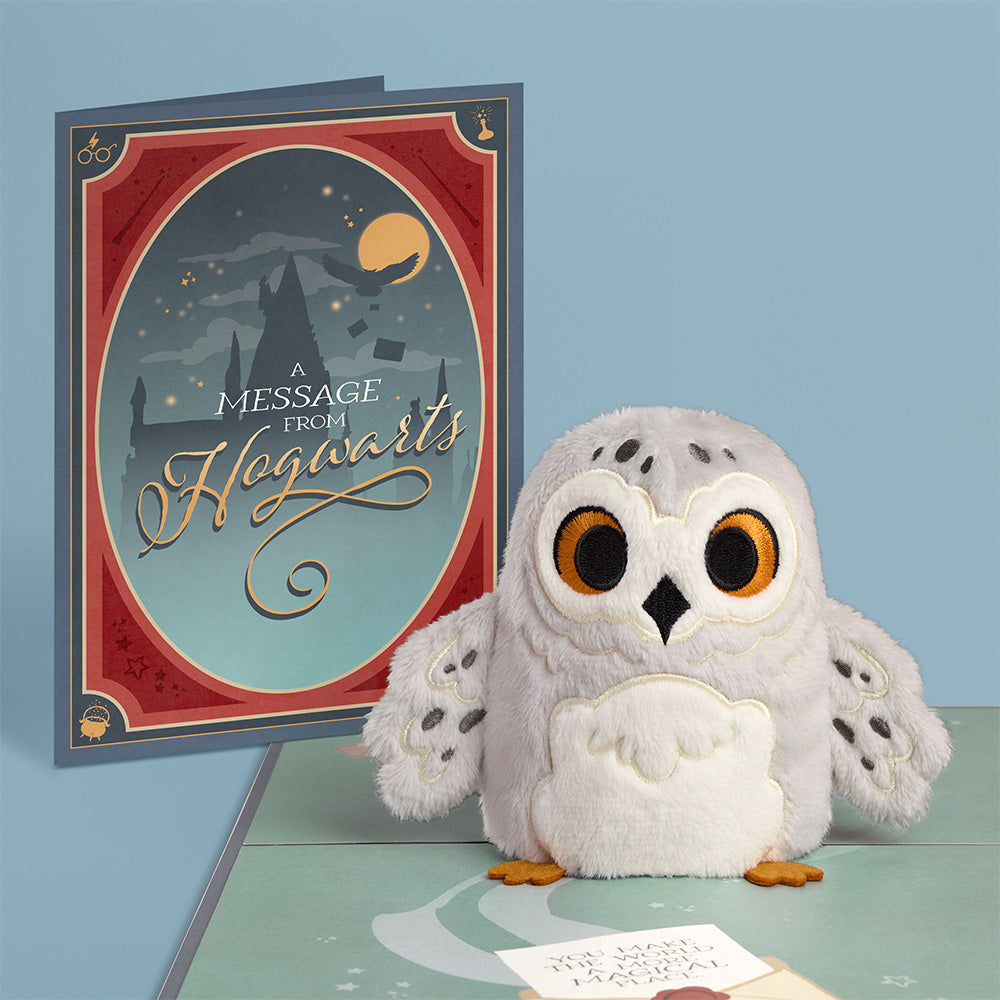 Harry Potter™ Hedwig™ ‘Message from Hogwarts’ Plushpop Card – Lovepop