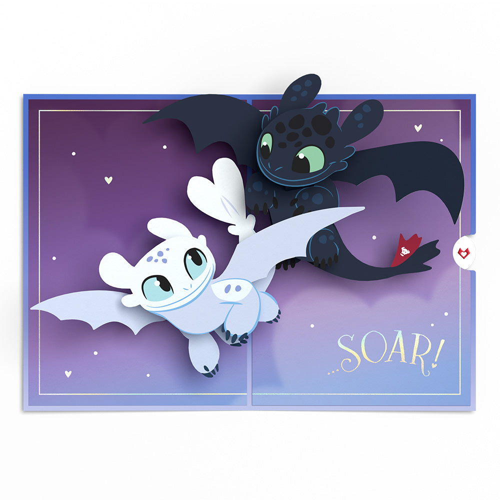 How To Train Your Dragon Toothless & Light Fury You Make My Heart Soar ...