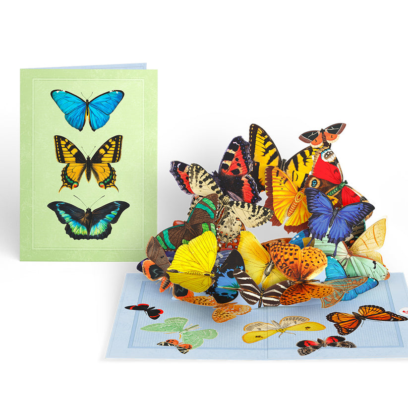 Butterflies in Flight Pop-Up Card – Lovepop
