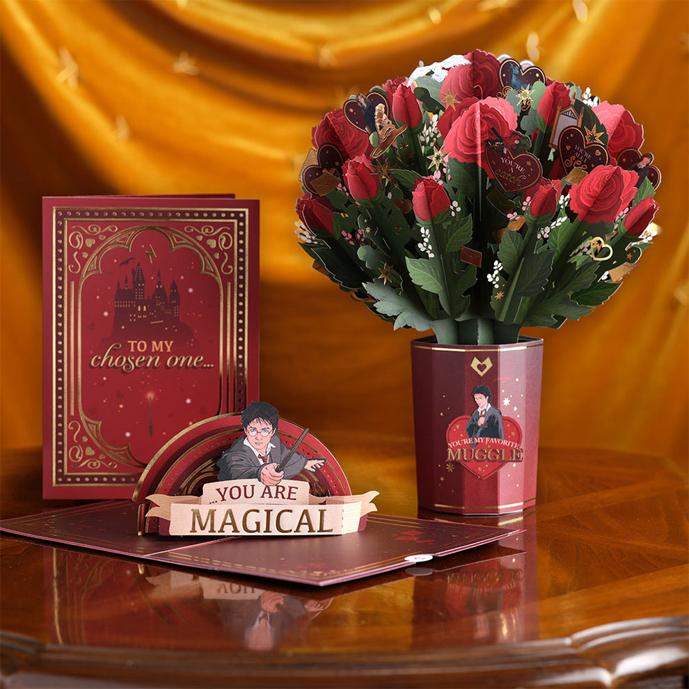 Harry Potter™ You Are Magical Bundle – Lovepop