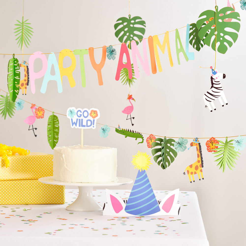 Party Animals Birthday Party Kit – Lovepop