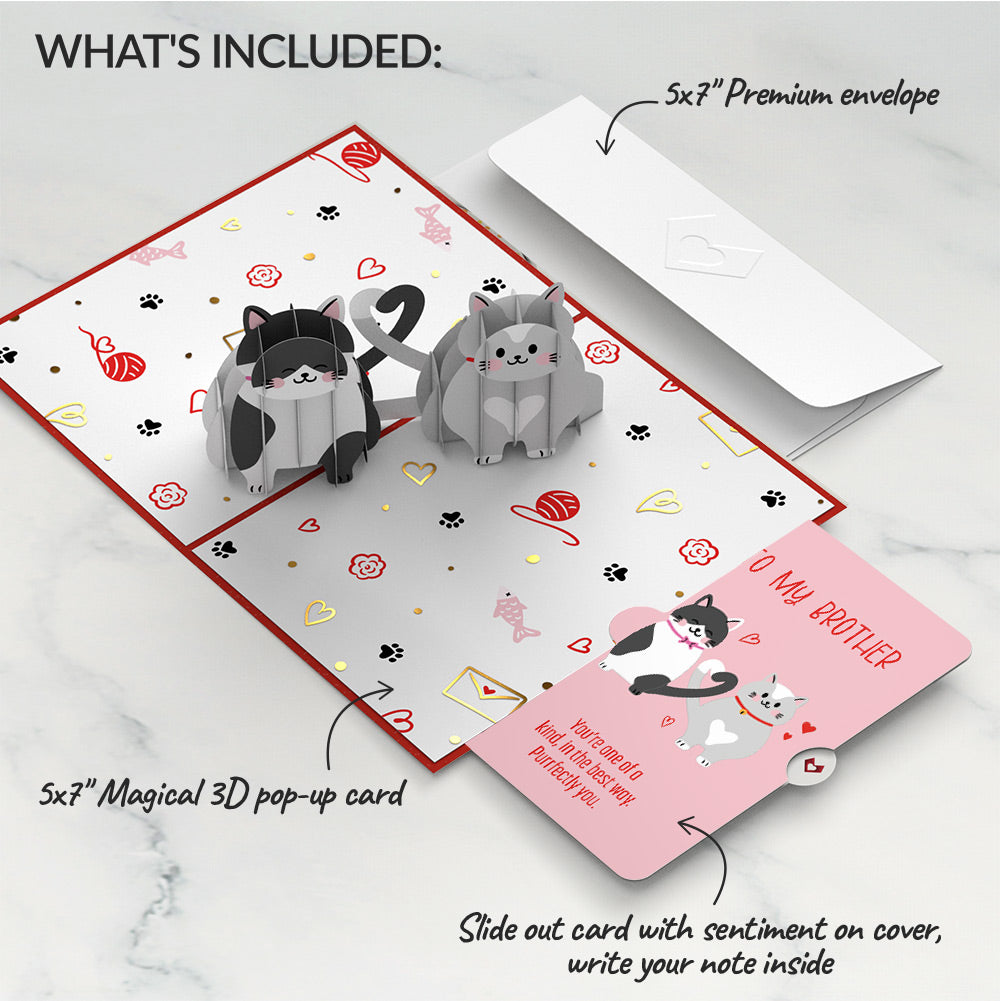 Love Cats Appreciation Pop-Up Card and Sentiment Set for Brother – Lovepop
