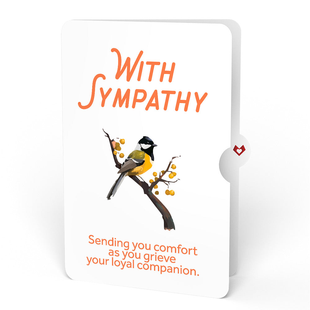 Fall Welcome Sympathy Pop-Up Card and Sentiment Set for Your Pet – Lovepop