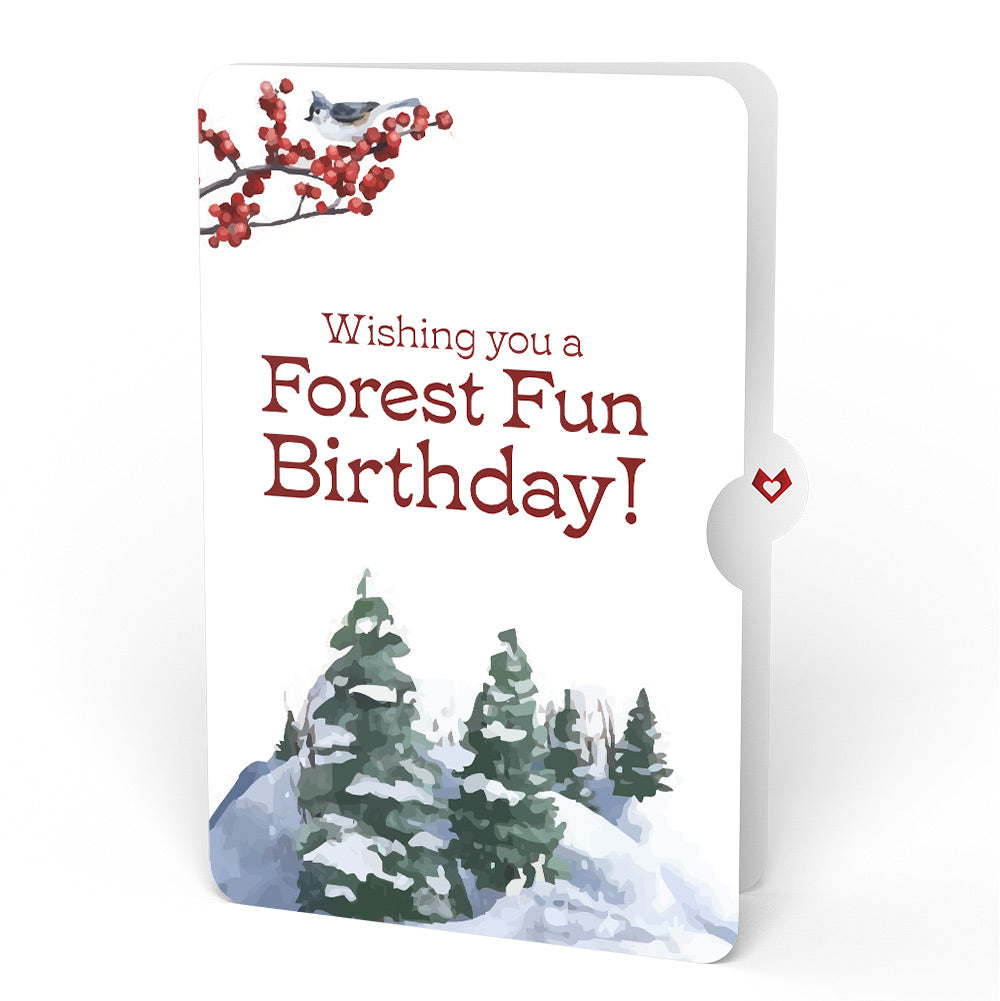 Snowfall's Hush Birthday Pop-Up Card and Forest Fun Sentiment Set – Lovepop