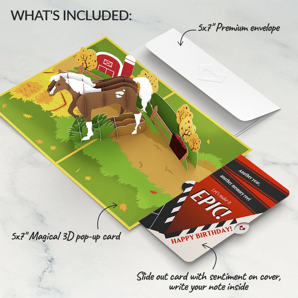 Horse Birthday Pop-Up Card and Epic Reel Sentiment Set – Lovepop