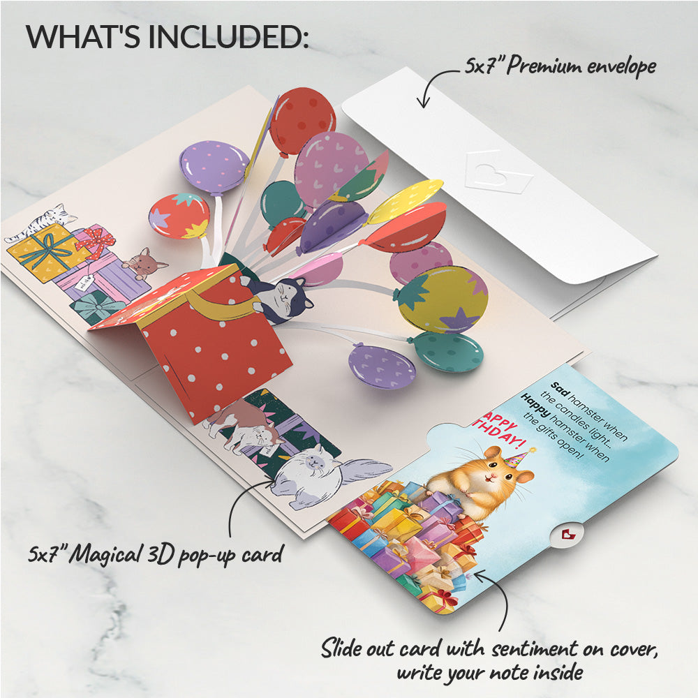 Curious Cats Birthday Pop-Up Card and Happy Hamster Sentiment Set – Lovepop