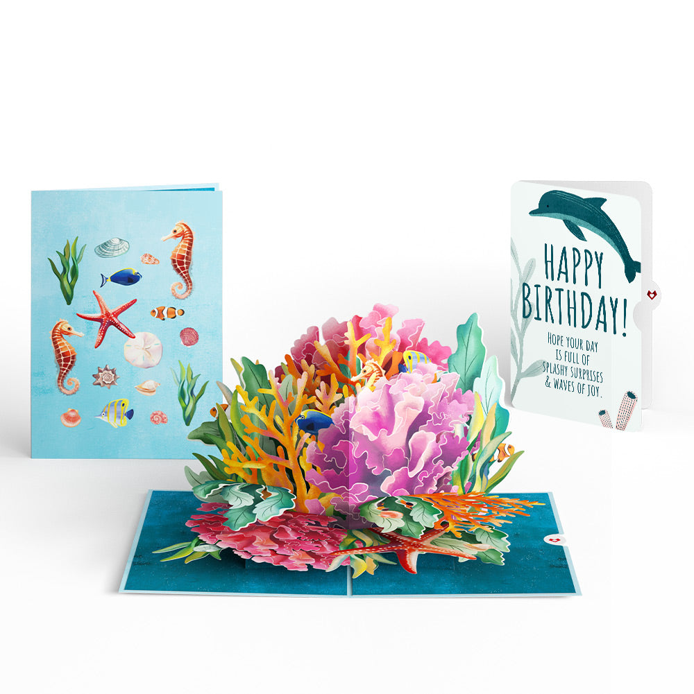 Coral Reef Wonders Birthday Pop-Up Card and Sentiment Set – Lovepop