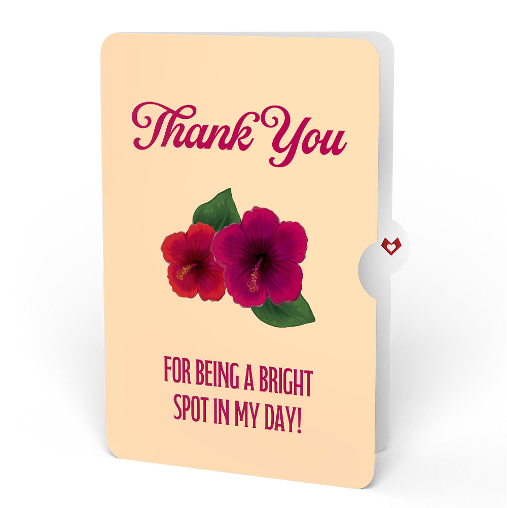Rainforest Toucan Thank You Pop-Up Card and Hibiscus Sentiment Set ...