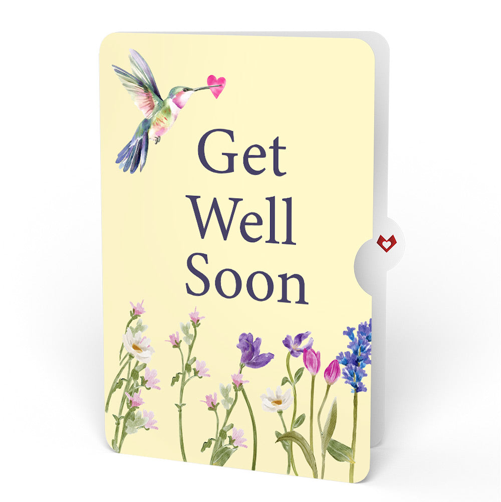 Love in Bloom Hummingbird Get Well Soon Pop-Up Card and Sentiment Set ...