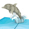 Dolphins Pop-Up Card – Lovepop