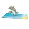 Dolphins Pop-Up Card – Lovepop