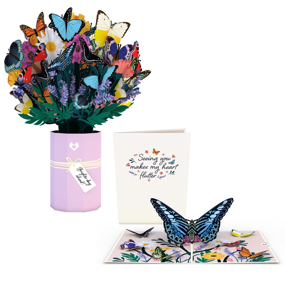 Brighter Days Ahead Butterfly Bundle – Lovepop