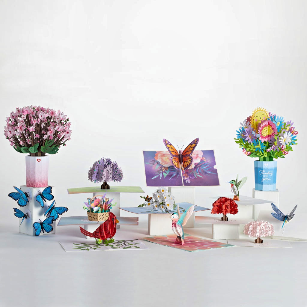 Garden Super Pack – Lovepop