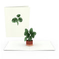Plants Notecards (Assorted 4-Pack) – Lovepop