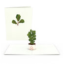 Plants Notecards (Assorted 4-Pack) – Lovepop