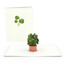Plants Notecards (Assorted 4-Pack) – Lovepop